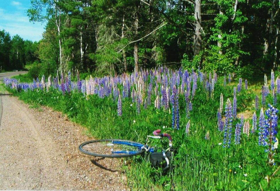 GRABAAWR—2009 - Bicycling Again